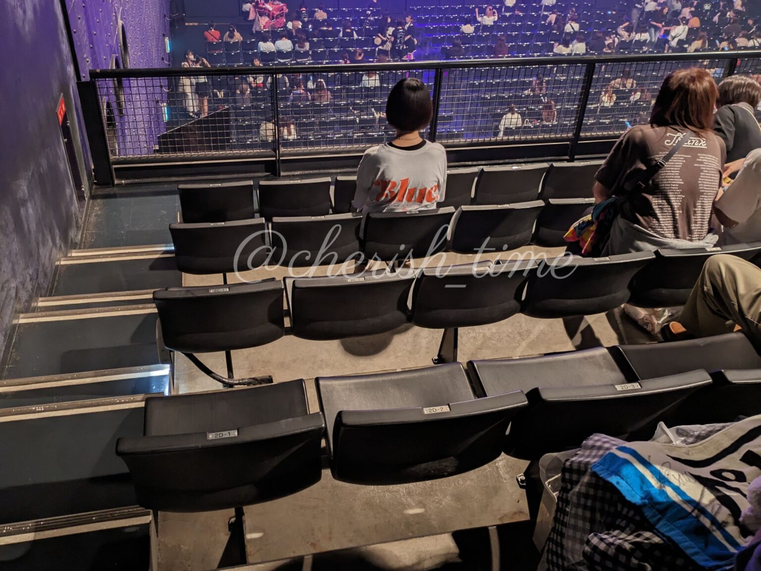 Zeppダイバーシティ座席の見え方は？2階指定席・立ち見とスタンディングキャパも！